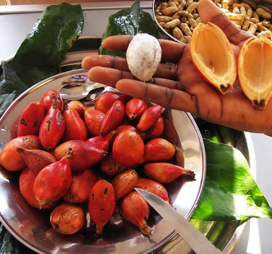 Aframomum alboviolaceum - Ginguenga, Jinguenga, Grãos do Paraiso, Fruto ...